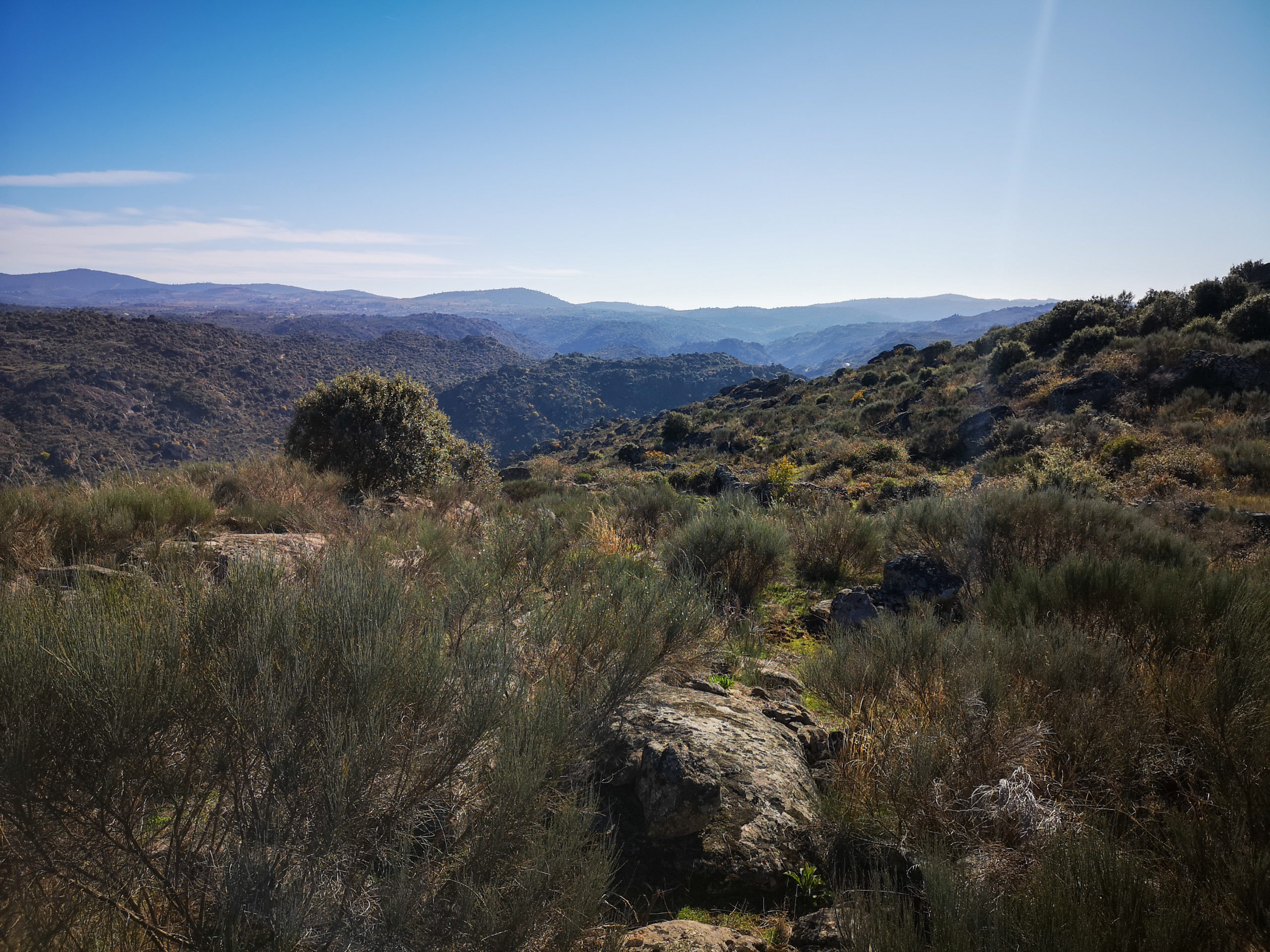 Portugal – Landscape restoration in the Faia Brava Reserve » Hotels For ...