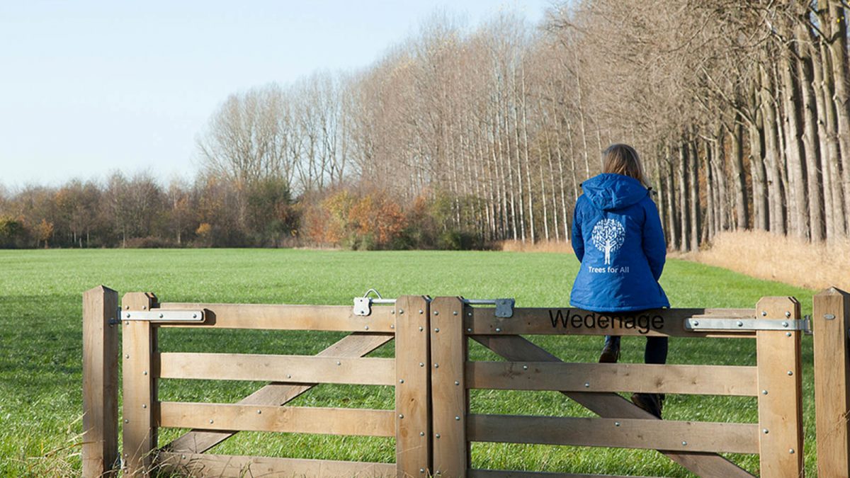 The Netherlands – New Loam Forest in Het Groene Woud » Hotels For Trees